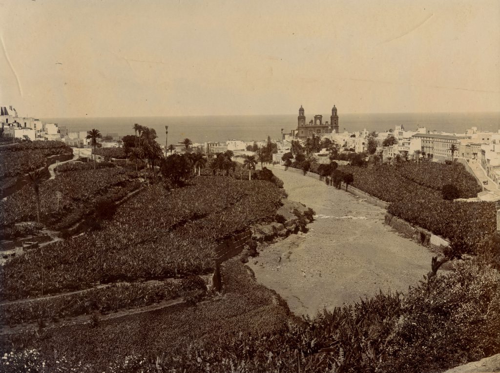 El Jardín de las Delicias. La finca «Matagatos» y sus delietes ...